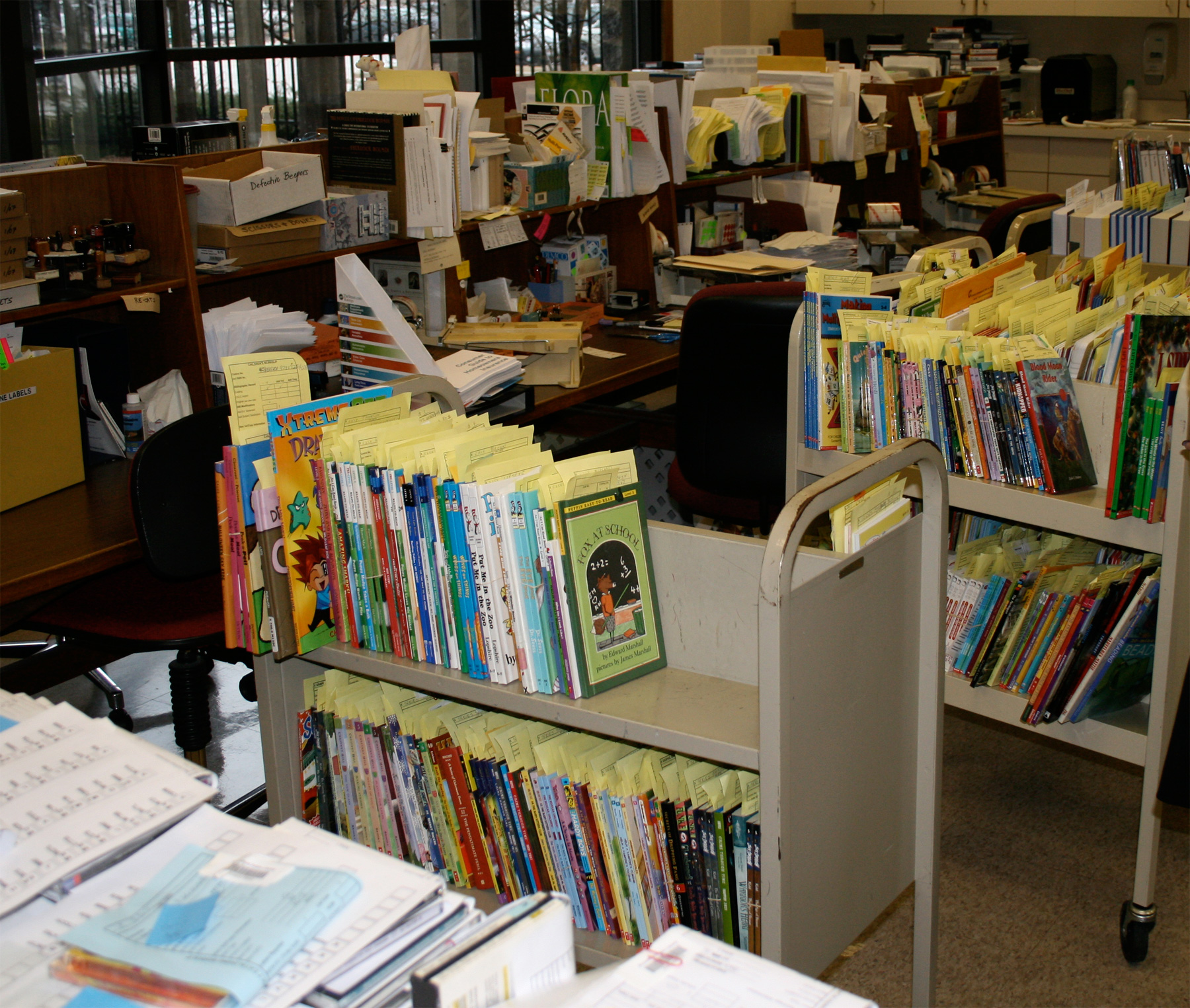 Library Collection Care - Ideas & Inspiration from Demco