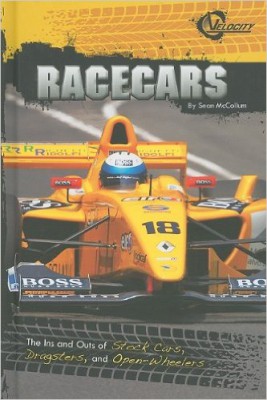 3 STEM Project Ideas Featuring the Power of Extreme Sports