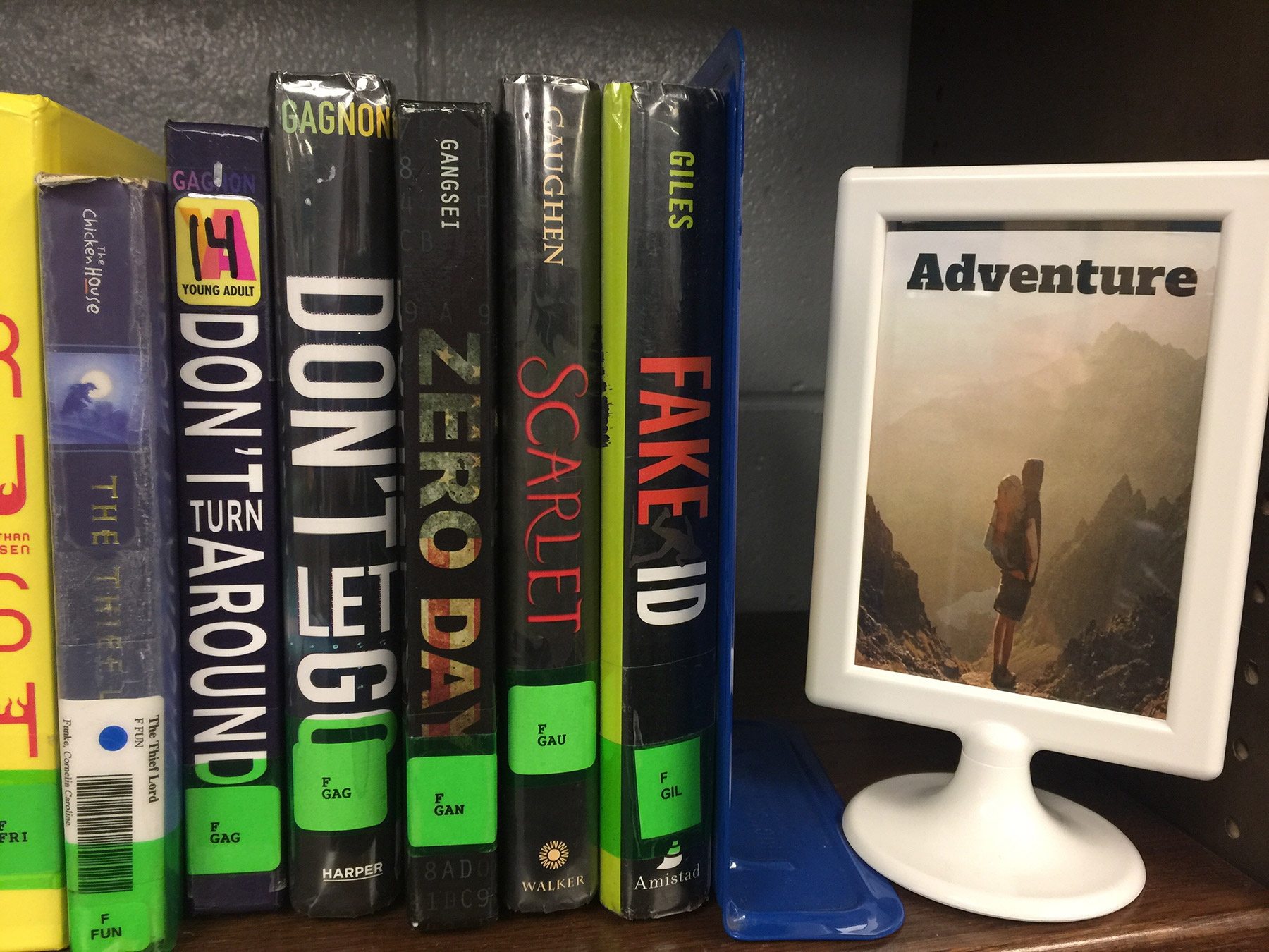 What School Librarians Have to Say About Genrefication