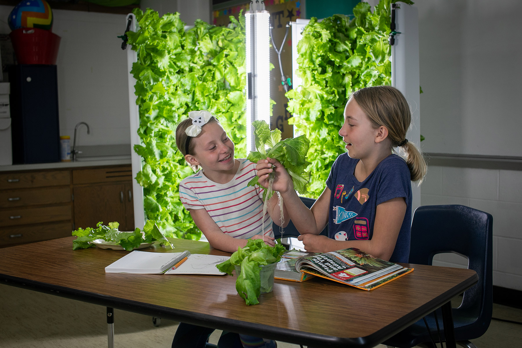 Classroom Hydroponics System