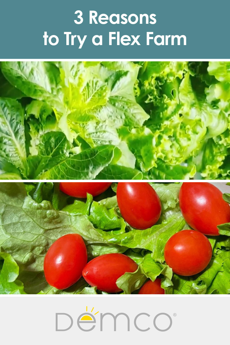 3 Reasons to Try Classroom Hydroponics - Ideas & Inspiration from Demco