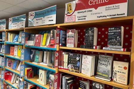 ShelfSpark - Ideas & Inspiration from Demco