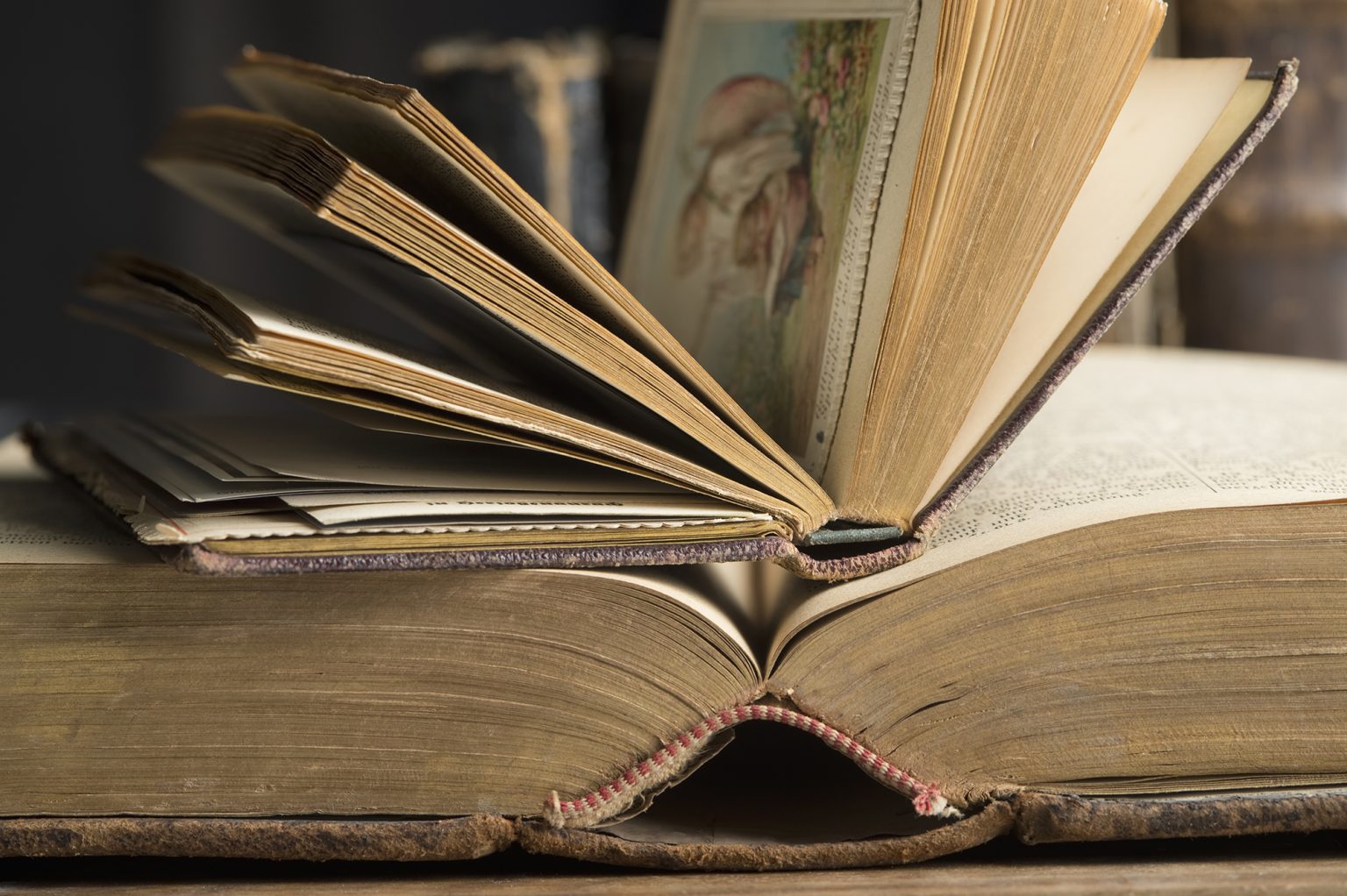 When to Repair Books - Ideas & Inspiration from Demco