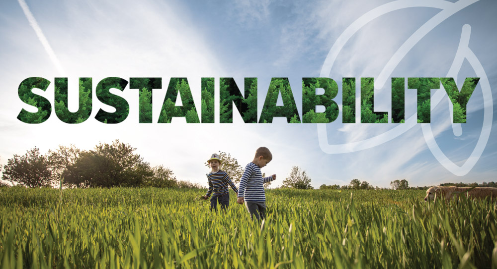 Why Libraries Should be Leaders in Sustainability - Ideas & Inspiration ...