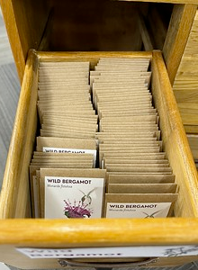 Libraries in Bloom - Ideas & Inspiration from Demco