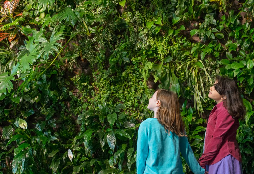 Nature By Design - Ideas & Inspiration from Demco