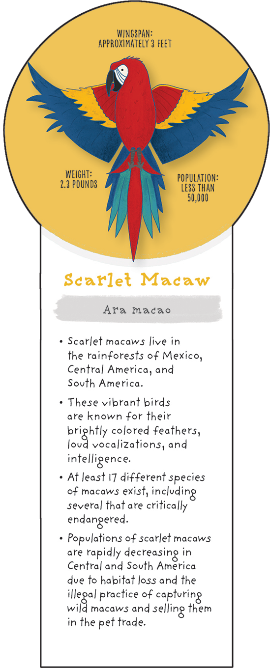 More Than a Page Marker - Ideas & Inspiration from Demco