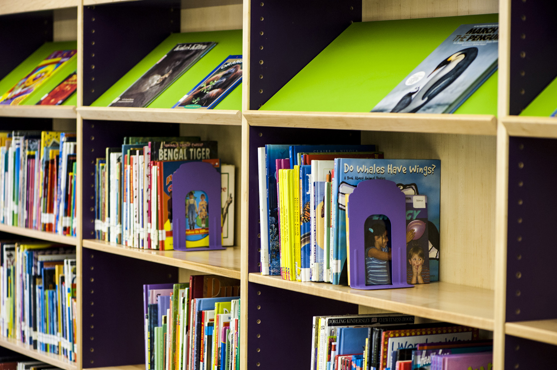 Brooklyn Arbor Elementary School, NY - http://demcointeriors.com