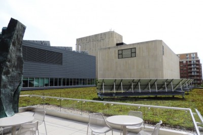 Why Outdoor Spaces are Essential for Libraries