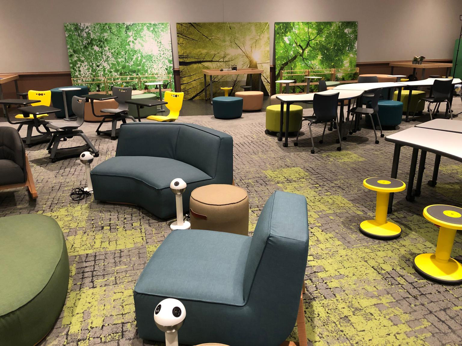 EdSpaces Classroom: Award-Winning Biophilic Design Inspired by Nature