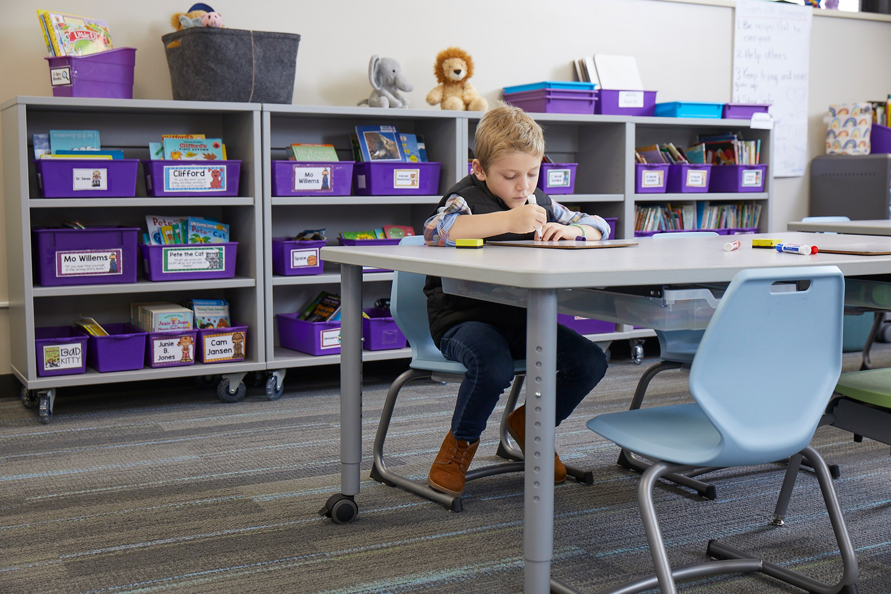 DeForest Area School District, WI - http://demcointeriors.com